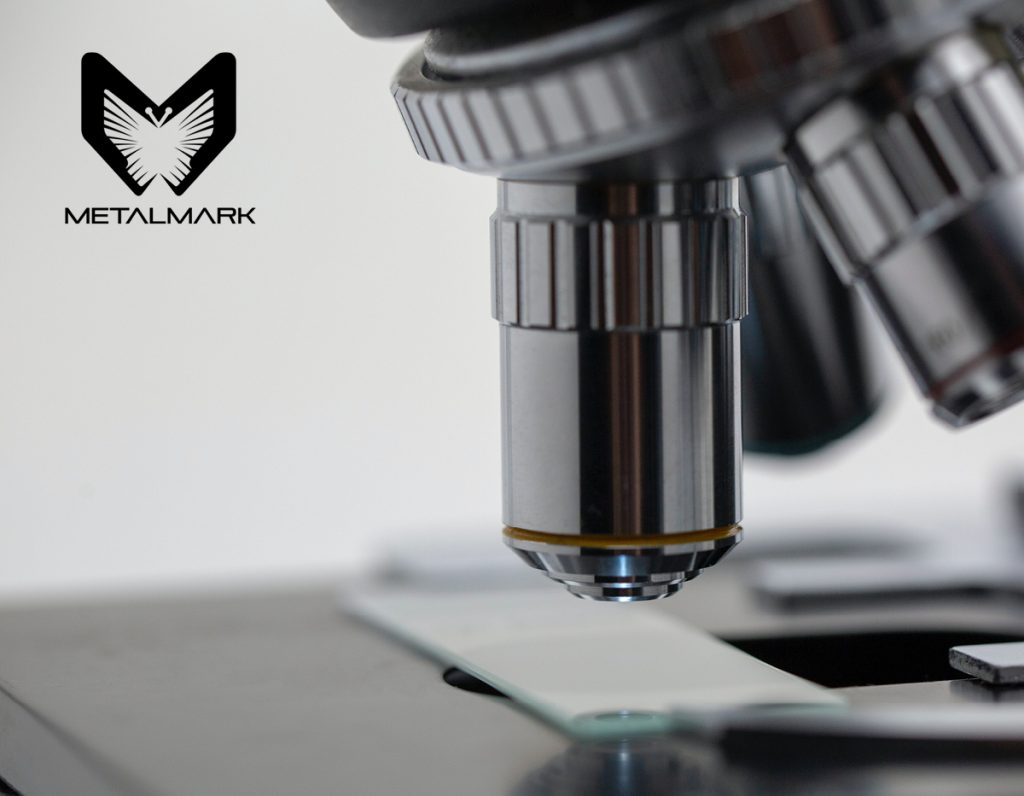 Seed Archives - Third Sphere